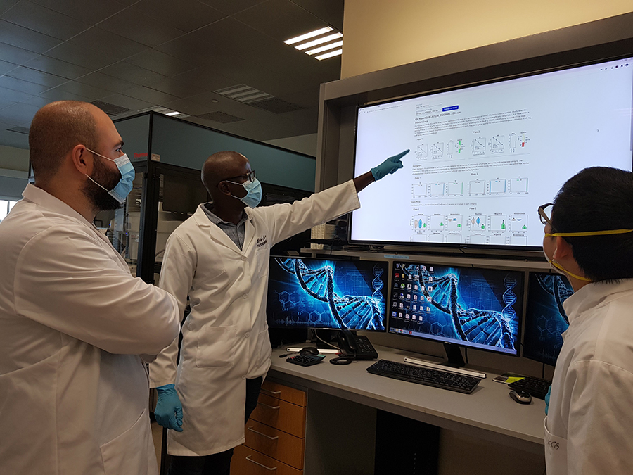 NYU Abu Dhabi Researchers Develop New Protocol For A More Sensitive And ... NYU Abu Dhabi Researchers Develop New Protocol For A More Sensitive And ...